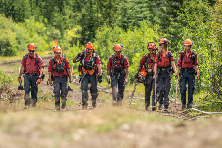 Night vision, quick response credited for late-season wildfire success ...